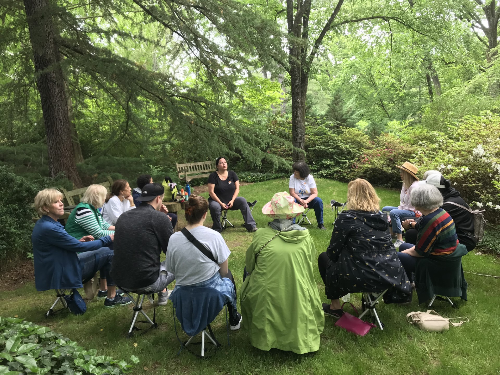 Guided Forest Bathing Walks | Hillwood Estate, Museum and Garden